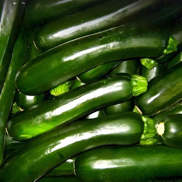 Zucchini dark green ( Pre-Order for May 2026 ) – M M Nurseries